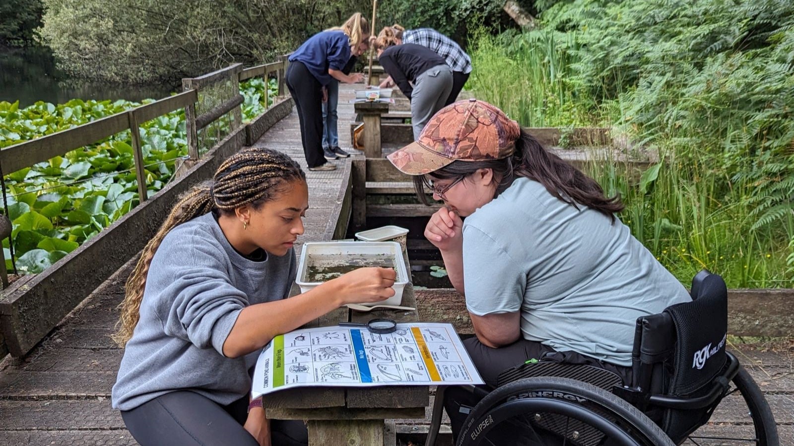 Nature Restoration Trainees - a Environment crowdfunding project in ...