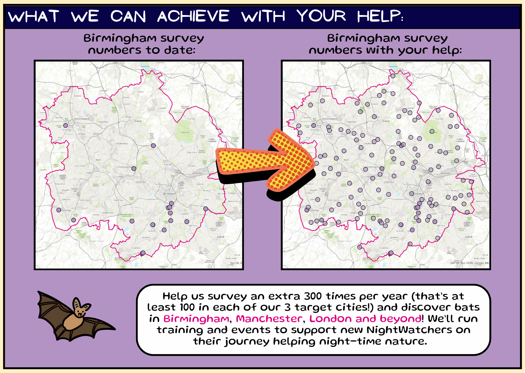 NightWatch: connecting with night-time nature - a Environment ...