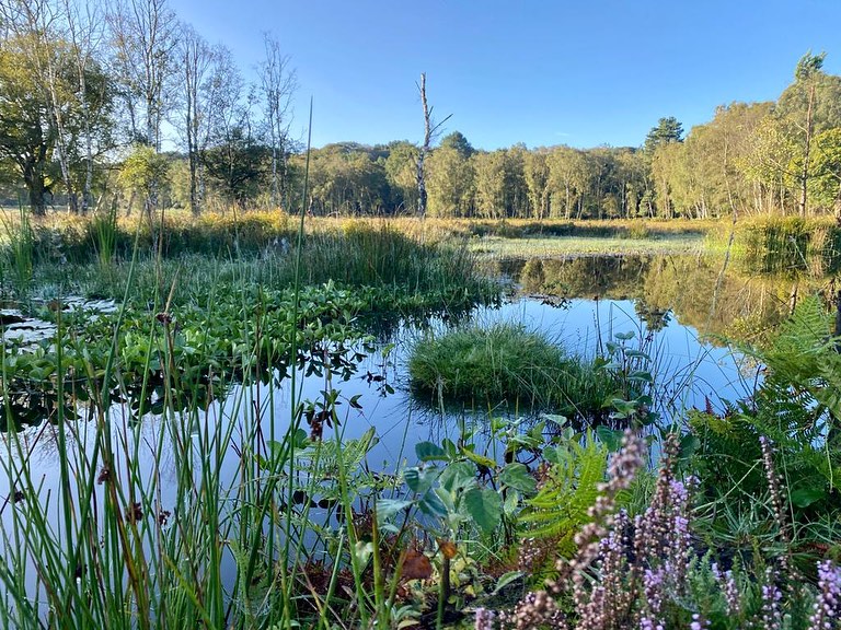 Building the Freshwater Network - a Environment crowdfunding project in ...